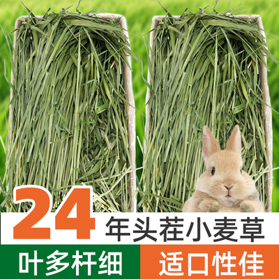 速发202子年烘干小麦草兔4干草饲料干子吃的专用兔牧草猪豚鼠