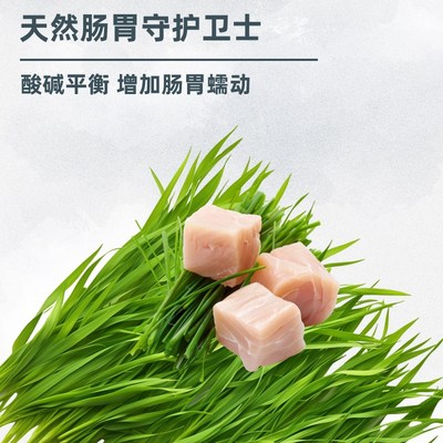 【中兽医食疗】它力量兔肉香梨猪肉蜜瓜浮游生物犬猫通用冻干零食