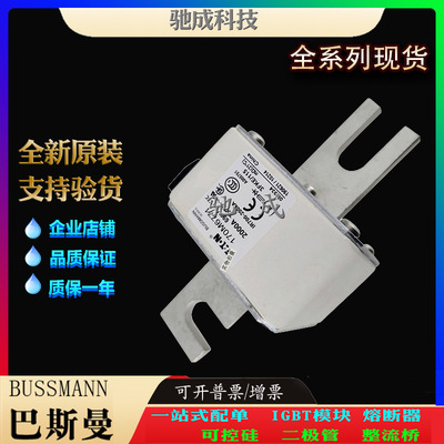 巴斯曼170M6778 170M6779 170M6780 现货直销零售批发 快速保险丝