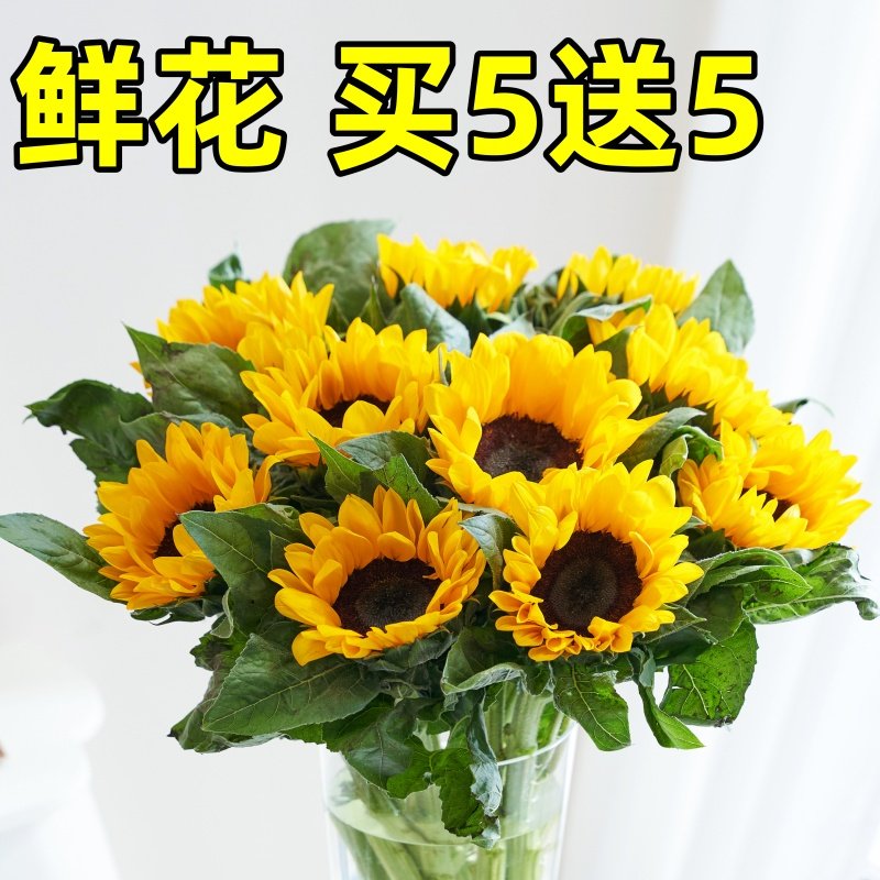 好货向日葵鲜花云南基地直发百合花速递同城真花束家用插花鲜切花