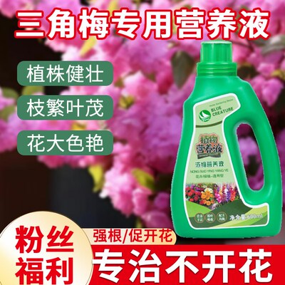 速发三角梅专用开花营养爆开花液花肥料枝繁叶茂促促花绿植花卉水