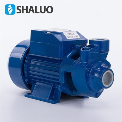速发全新特销价和10V QB60家用1园林清水漩涡泵 家用泵 抽泵水220