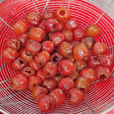 商用真空蜜饯浸糖锅 山楂黄桃加工浸糖罐 迈创大型真空渗糖设备