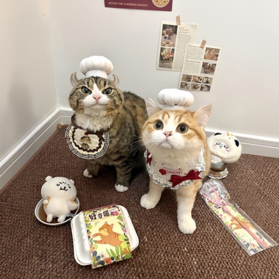 宠物厨师帽子氛围感猫咪拍照神器