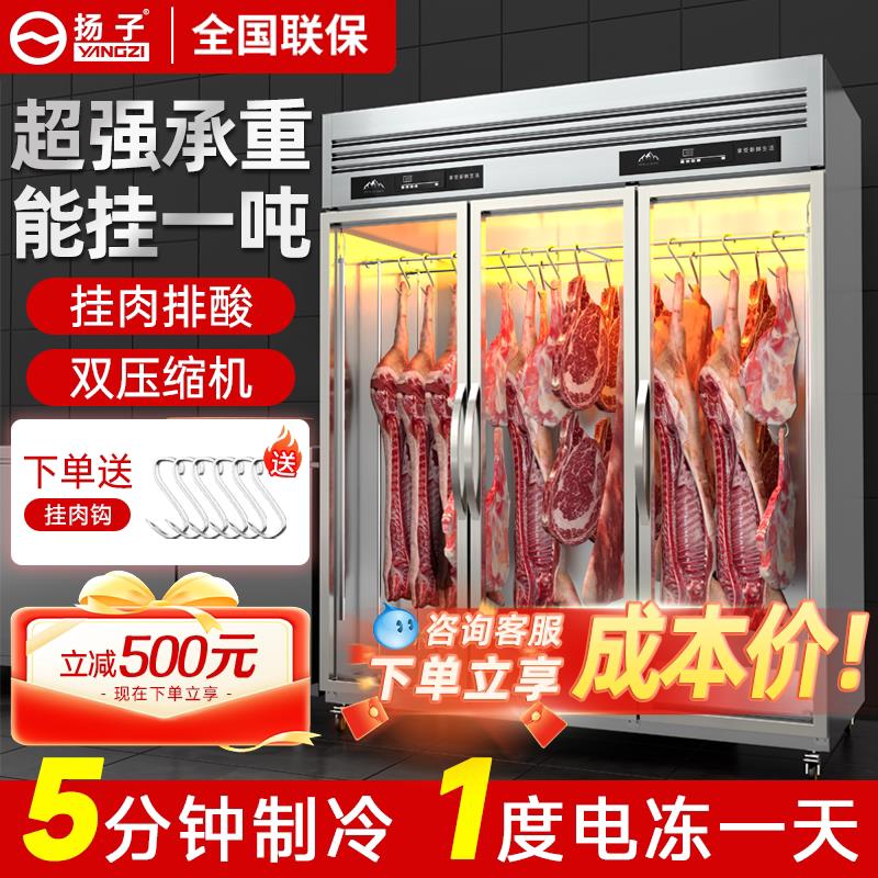 扬子商用挂肉柜牛肉羊肉排酸熟成保鲜冷藏展示柜立式鲜肉冷冻冰柜