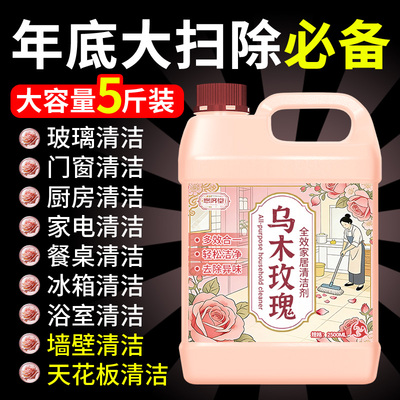 多功能清洁剂强力去污家政全屋大扫除专用瓷砖卫生间除垢清洗剂陆