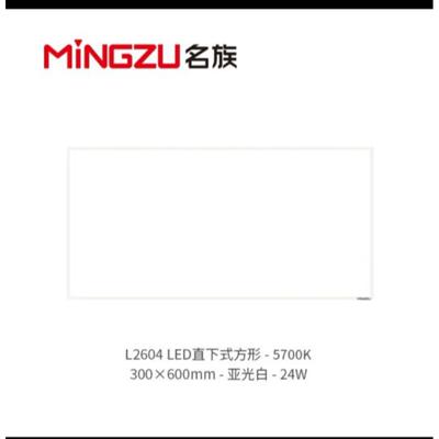 名族L2604-300*600嵌入式超薄铝扣板灯
