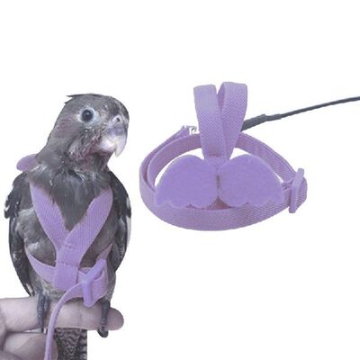 极速Parrot Bird Harness Leash Set Anti-Bite Training Harness