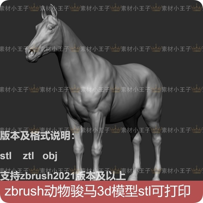 zbrush高精度骏马战马白马坐骑雕刻模型素材带细分马3D模型stl