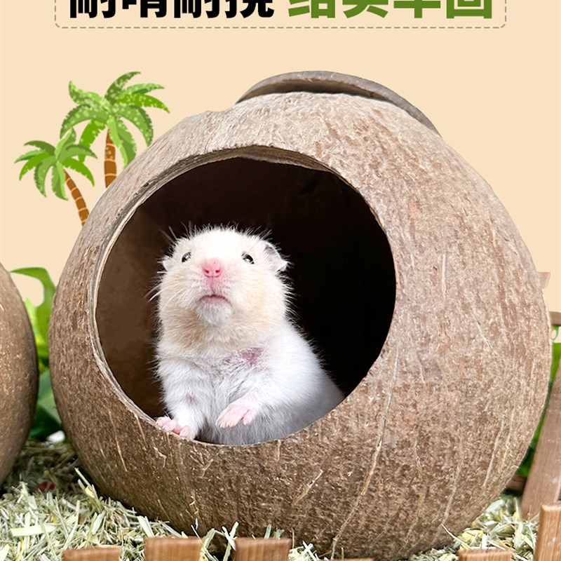 仓鼠椰壳窝躲避屋夏天降温椰子造景用品金丝熊房子别墅花枝鼠小窝