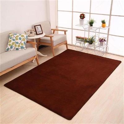 Antiskid Thicken Fleece Floor Mat Rug Carpet Living Room