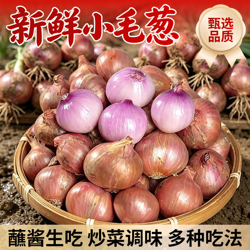 山东毛葱鬼子葱农家种植笨毛葱5斤小洋葱头生吃炸葱油红葱头整箱
