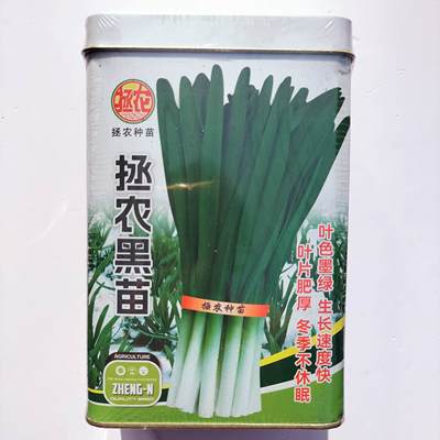 拯农黑苗韭菜种子茎色绿
