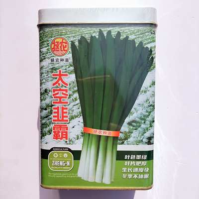 太空韭霸韭菜种子叶色墨