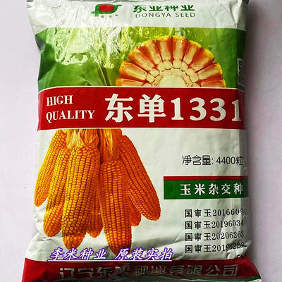 东单1一代杂交玉米种籽孑