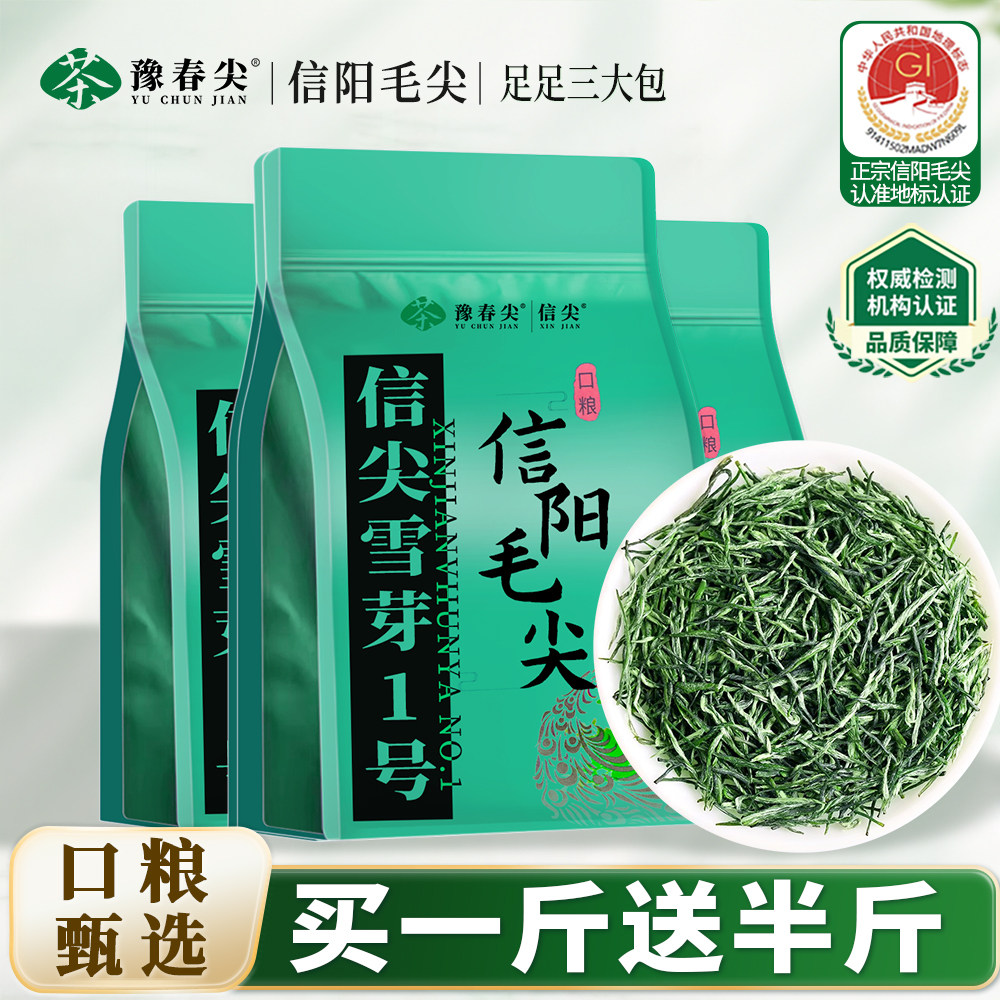 2026新茶正宗信阳毛尖茶叶嫩芽绿茶手工口粮茶春茶浓香型袋装散装