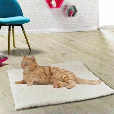 60*40cm Pet Usb Heating Pad Electric Blanket Winter Mat