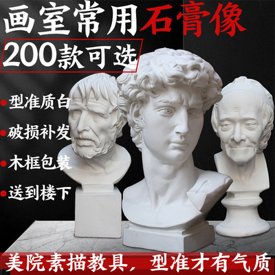 石膏像大卫石膏像摆件美术教具维纳斯小卫海盗欧美装饰品雕塑摆件