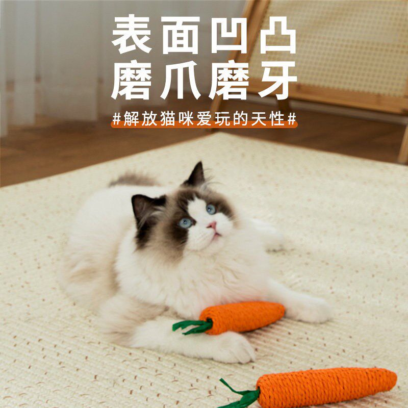猫玩具逗猫棒自嗨解闷神器猫咪薄荷球鱼小老鼠木天蓼磨牙棒猫用品