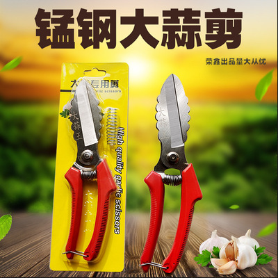 农用工具大蒜剪刀厂家65锰钢白头