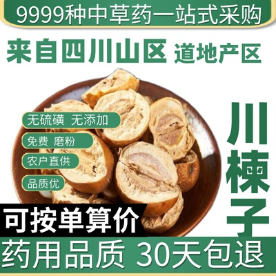 特级川楝子50g新货正品苦楝子楝实金铃子天然川楝实原产地直发农