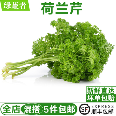 新鲜荷兰芹250g 反西蕃茜洋芫荽法香西餐火锅摆盘装饰点缀用蔬菜