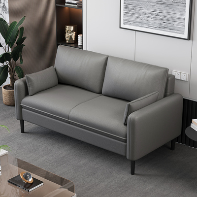 布艺沙发a客厅2024新款小户型现代简约出租房休息区双人奶油风直