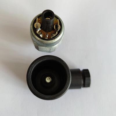 德国layher 210010压力开关 420010压力开关 480016压力开关