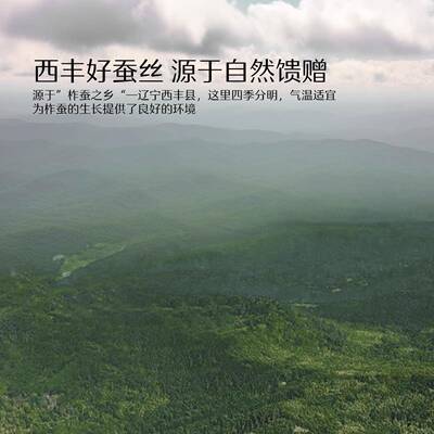 全棉被子蚕被夏被四季被通二合一子QS51AX01母被学生冬丝宿舍春秋