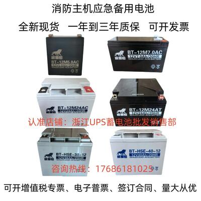 威狮铂蓄电池BT12V7AH17AH24AH38AH消防主机/应急备用电源/电梯用