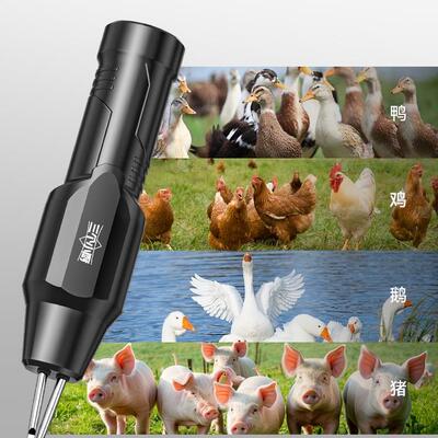 毛拔鸡毛鸭毛鸡鸭鹅电动全动款器猪机毛79918家禽去自脱毛