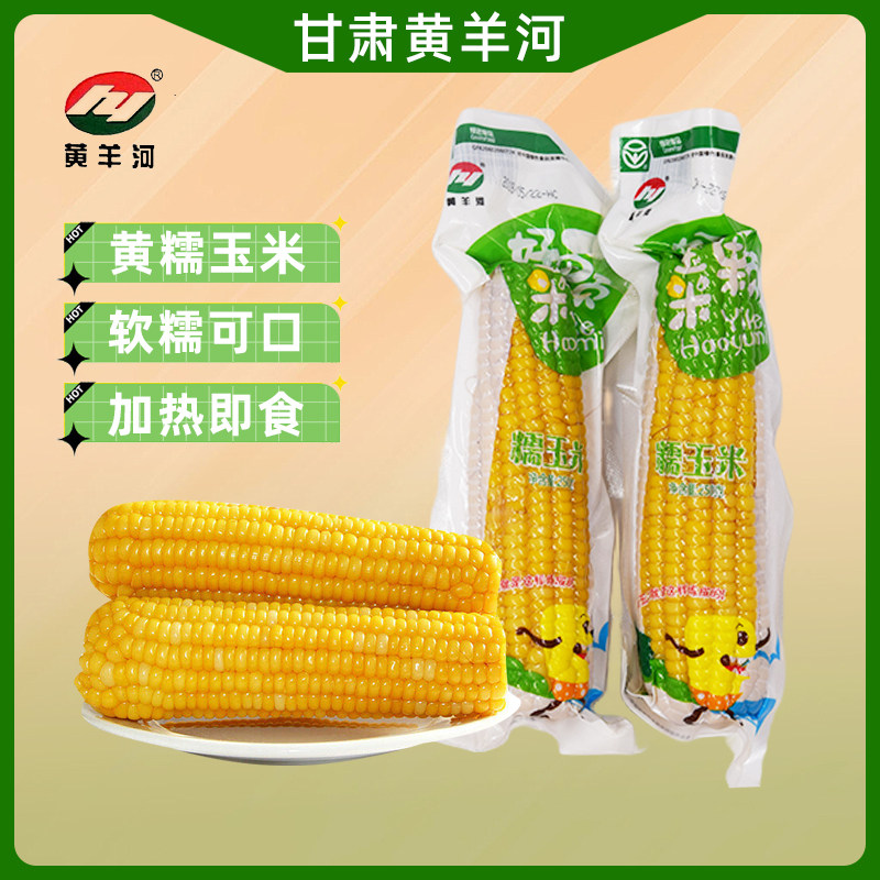 甘肃黄羊河糯玉米 真空包装加热速食糯包谷黏玉米产地直发