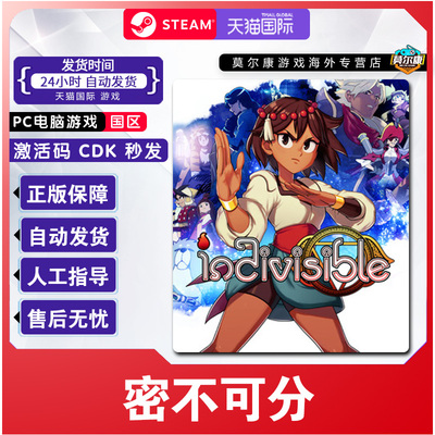 PC中文Steam 密不可分 Indivisible 角色扮演  国区激活码CDKey