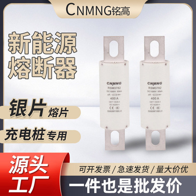 RSM3782RS309HEV充电桩新能源电动汽车直流熔断器DC1000V250-400A
