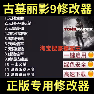 古墓丽影9Steam正版修改器