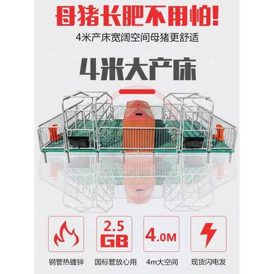 双母猪床保育两体用PLS产床母猪设备猪用产产床分娩床栏定位养殖