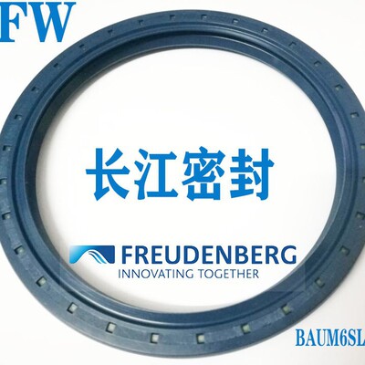 德国CFW橡胶骨架油封高质量