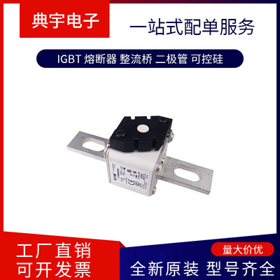 熔断器170M4665 4666 4667 4668 4669 4670 4672 4688型号齐全