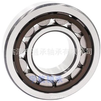 通承圆柱滚子轴承N 1008 K混合陶瓷轴承