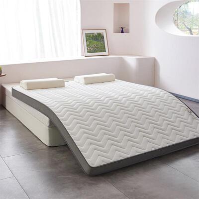 磨毛大豆纤维床用垫软垫用卧室垫出租房单人UXE学褥生宿舍防滑垫