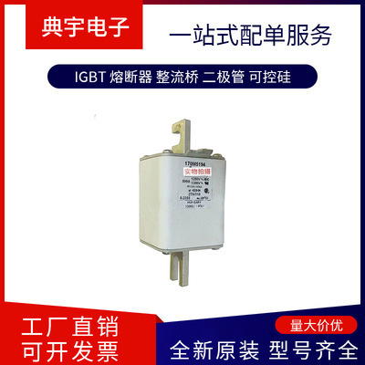 熔断器170M5199 5200 5208 5209 5210 5211 5212 5213型号齐全