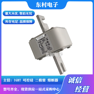 现货170M6193 170M6194 170M6195 170M6196 170M6197全新熔断器