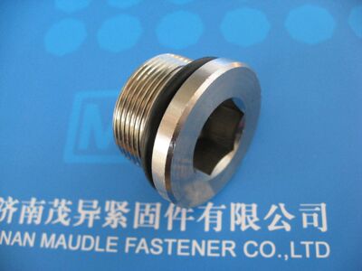 不锈钢ED内六角密封螺塞(PN31.5)JB/ZQ4444-2006