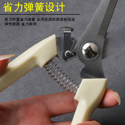 德沃多果树修f枝剪刀园艺园林修花枝剪家用强力花剪子神器剪枝剪