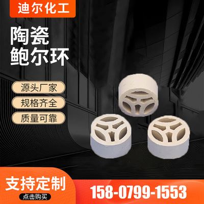 厂家供应陶瓷鲍尔环填料 鲍尔环拉西环三丫环填料 波纹散堆填料