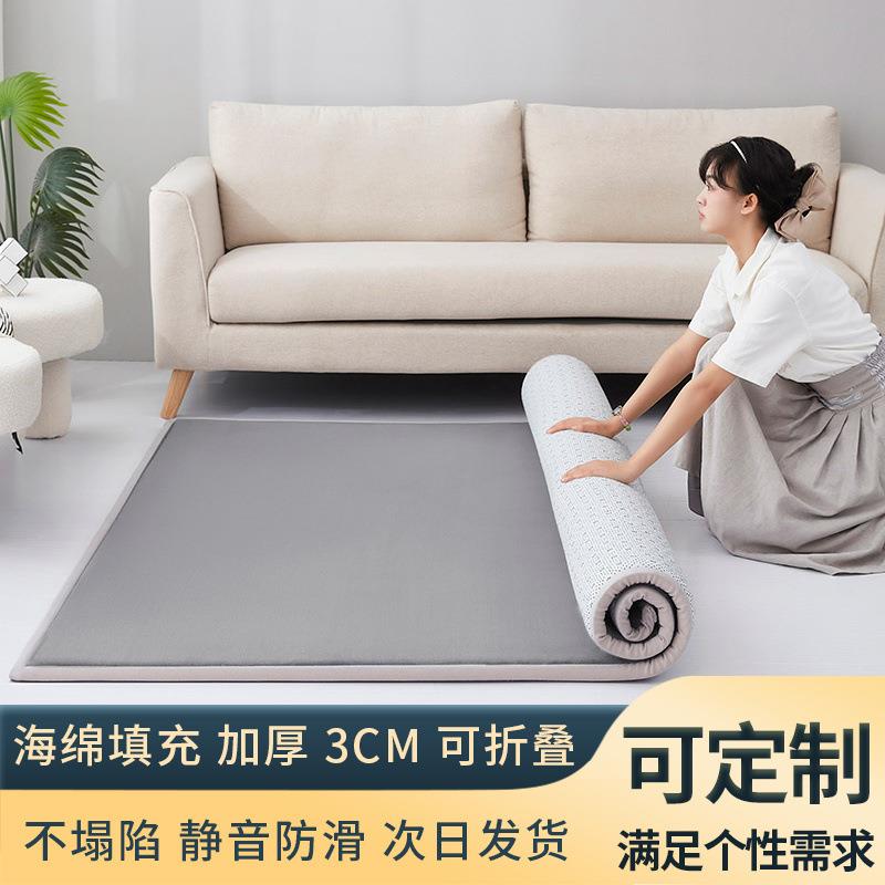 榻榻米床垫子打地铺地垫专用防滑床褥床护垫农村土炕垫可折叠一件
