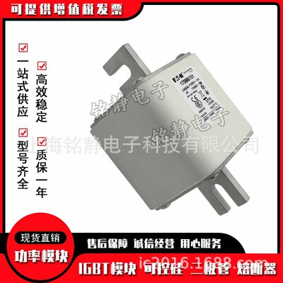 170M6108 170M6109 170M6110巴斯曼保险丝170M6111巴斯曼170M6112