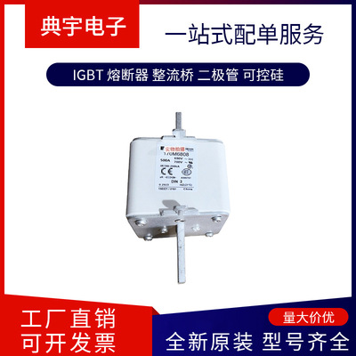 熔断器170M6803   6804  6805 6806  6807   6808  6809型号齐全