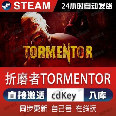 折磨者TORMENTOR steam游戏cdkey激活码单机电脑游戏全球区入库pc