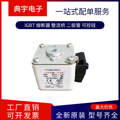 熔断器170M3447 3448 3458 3459 3460 3461  3462  3463型号齐全